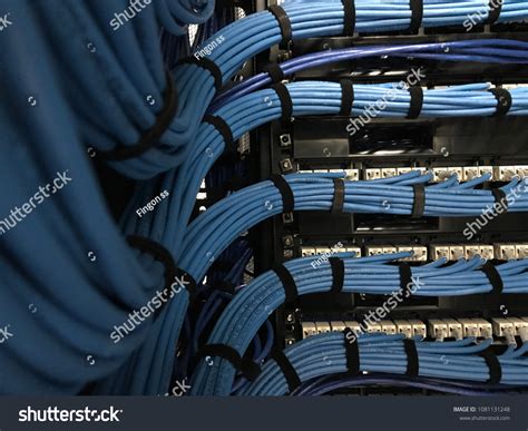 Large Group Utp Cables Ethernet Cables Stock Photo Shutterstock