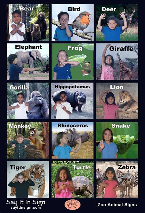 Zoo Animal Signs Asl Lenticular Poster Zoo Poster Animal Sign Language Poster Asl Animal Sign