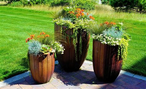 Thriller Filler And Spiller Plants For Your Container Garden The