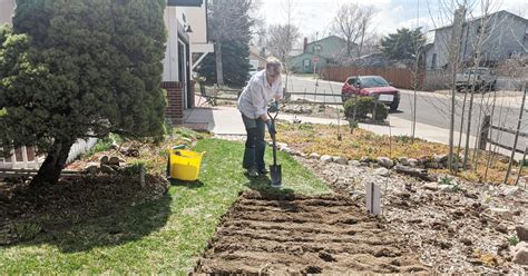 13 Front Yard Xeriscape Landscaping Ideas With Photos Of Drought