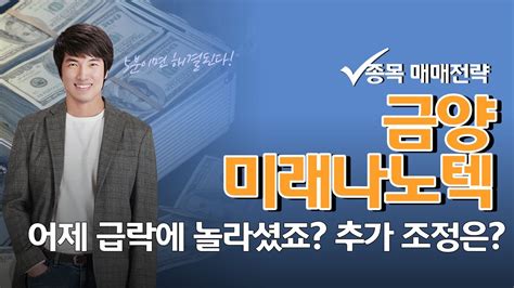 금양미래나노텍 어제 급락에 놀라셨죠 추가 조정은 리튬관련주 미래는 Youtube