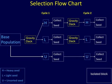 Ppt Selection Flow Chart Powerpoint Presentation Free Download Id
