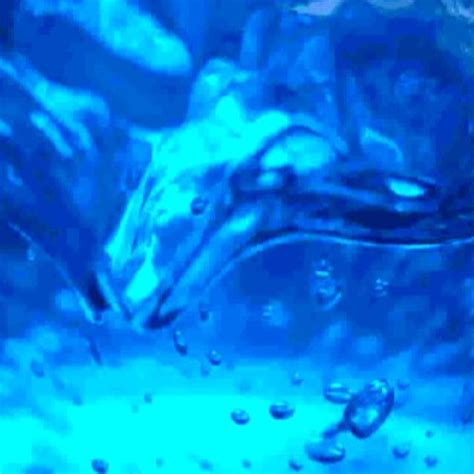 Stream φ゜ ゜♪ 鸡。 但这还不是全部，我们与紧急情况部签订了合同，现在紧急情况部正在跳跃骰子。 By ሊªρ￥ᶄӤ