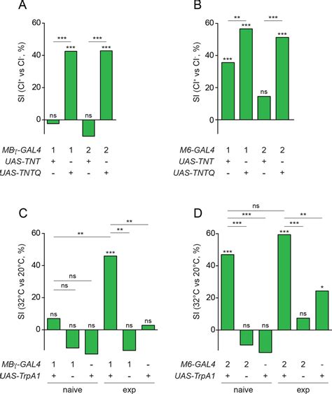 Figures And Data In Persistent Activity In A Recurrent Circuit Underlies Courtship Memory In
