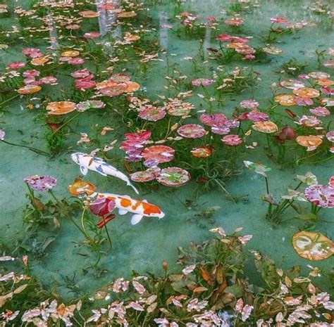 Instagram Aesthetic Photography Nature Wall Collage Green Aesthetic