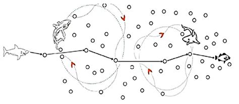 Toward Bridging Future Irrigation Deficits Utilizing The Shark Algorithm Integrated With A
