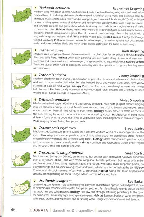 A Field Guide To Insects Of South Africa Updated 2004 The First