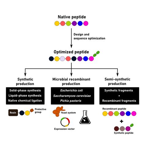 Challenges In Chemical And Recombinant Peptide Production Processes