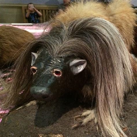 Haggis Animal