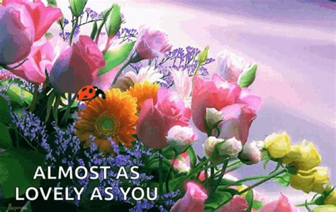 Flowers  Flowers Discover And Share S