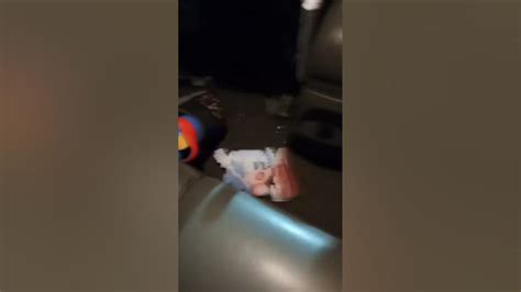 Sonic Gritando Youtube