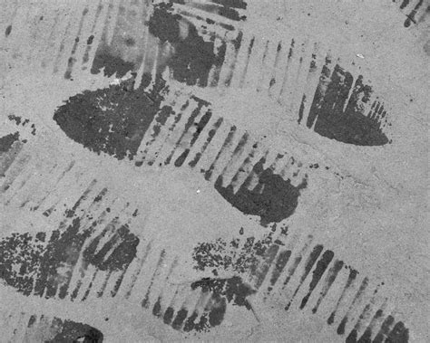 Photo 1 Ronan Mccabe