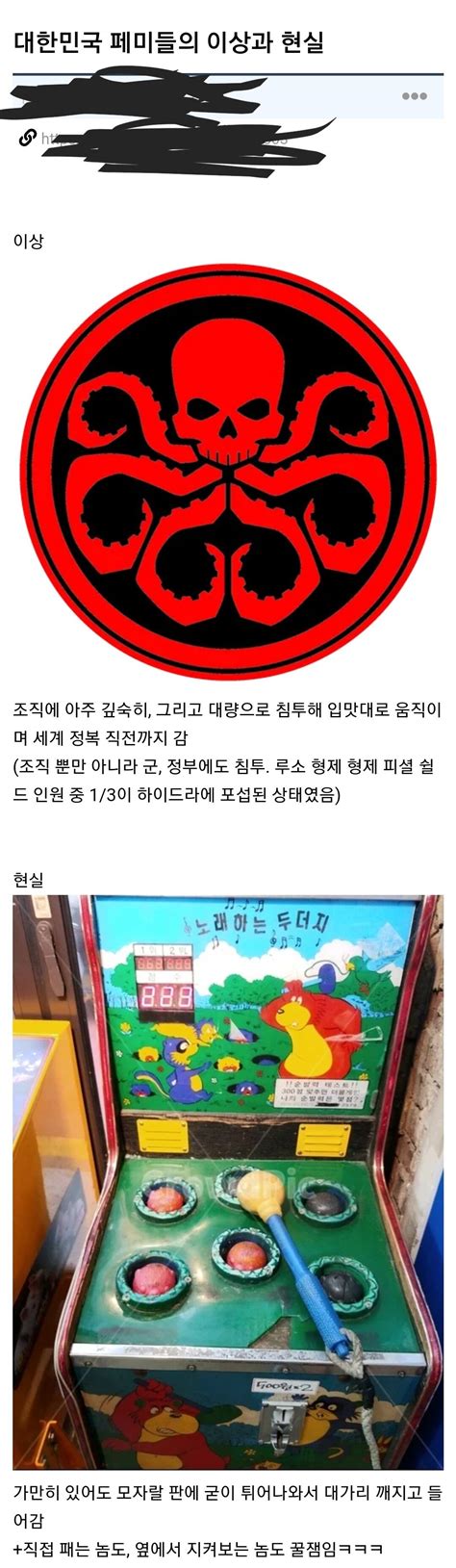 대한민국 페미들의 이상과현실 유머 움짤 이슈 에펨코리아