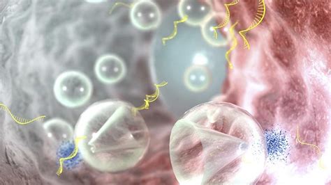 Cost Effective 3 D Rna Modeling Technique