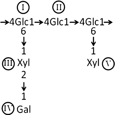 Proposed Structure For The Xyloglucan Under Analysis Download