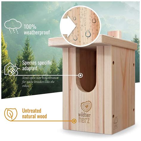 Robin Nest Box Artofit
