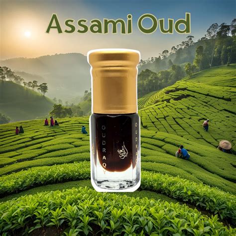 Assami Oud Best Beginner Friendly Substitute To Assam Oudh