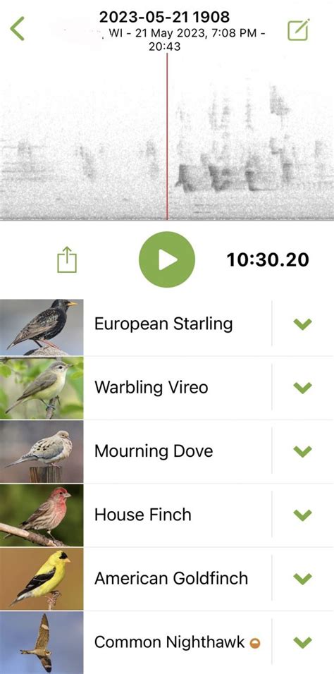 Media We Love The Merlin Bird Id App