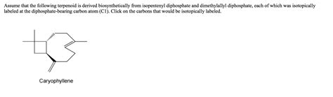 Assume That The Following Terpenoid Is Derived