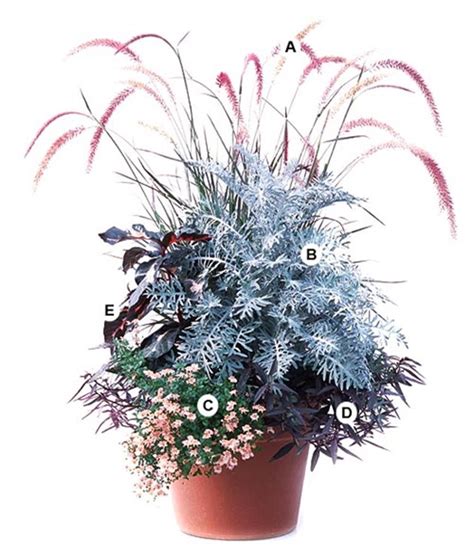 Градински контейнери за ценители Български Фермер