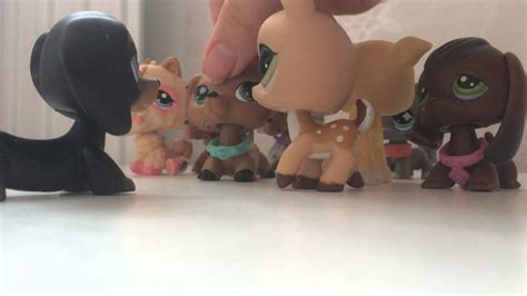 Lps Wolf Story Youtube