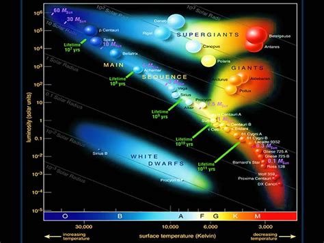Solved Locate The Following Stars Betelgeuse Bellatrix