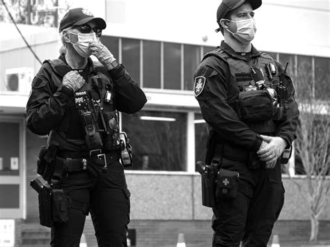 Property Offences Criminal Law Co