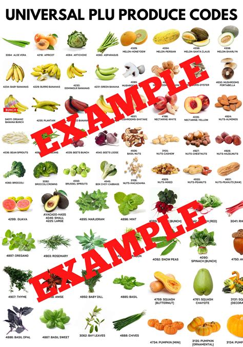 Universal PLU Produce Codes Cashiers Guide For Grocery Etsy UK
