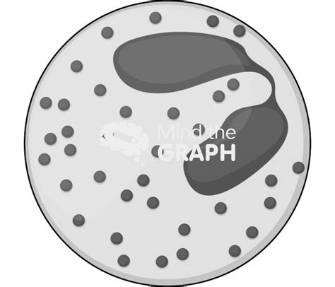 Free Eosinophil Icons Symbols Pictures And Images Mind The Graph