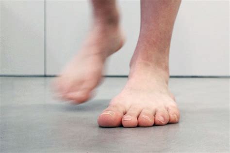 La Estabilidad Del Tobillo Proporcionada Por La Acción Muscular Umanresa