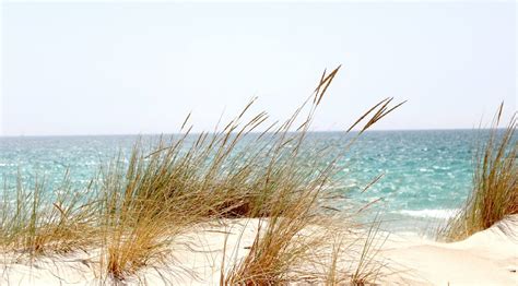 Nantucket Beaches