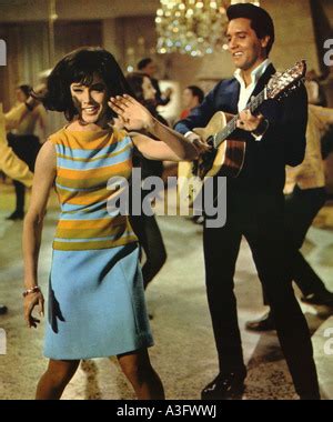 Spinout Elvis Presley Shelley Fabares 1966 Photo Stock Alamy
