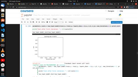 [w4 programming assignment deep neural network application