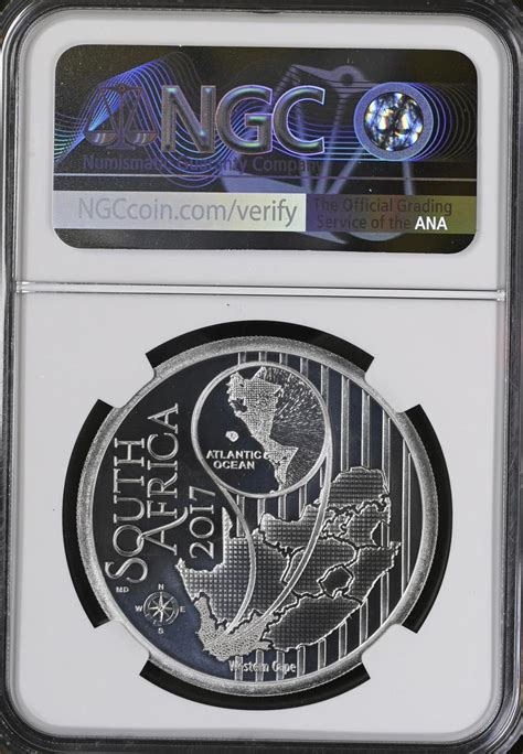 Bonus Lot 21 South Africa Republic ‘hydroprogne Caspia Caspian Tern