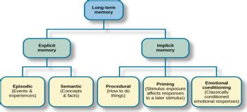 Memory Psychology E OpenStax Editing Version