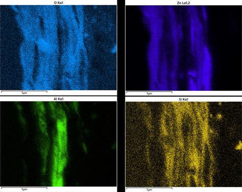 Edx Mapping Of O Zn Al And Si In The Cross Section Of An Unexposed