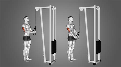 cable pushdown benefits muscles worked and more inspire us