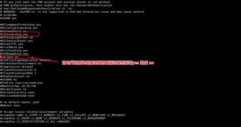xshell 连接虚拟机出现 “the remote ssh server rejected x11 forwarding request‘的原因以及解决问题！ csdn博客
