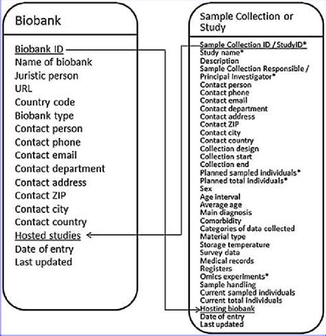 The Relationship Between The Types Of Attributes Highlights