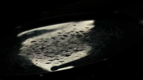 Drumroll Imagens Procure 94 Fotos Vetores E Vídeos Adobe Stock