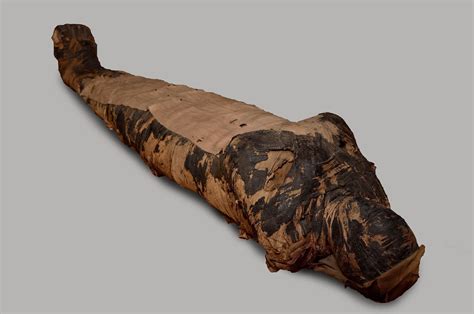 News New Study Analyzes Pregnant Egyptian Mummy Archaeology Magazine