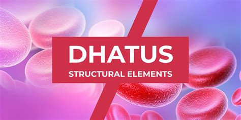 A Comprehensive Guide To Dhatus Structural Elements Of The Body