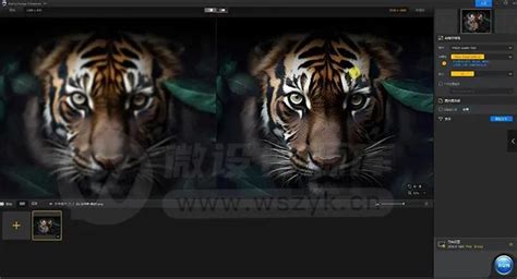 2024 Ai修图神器aiarty中文版来了！一键模糊变清晰，无损放大去噪点（240701）