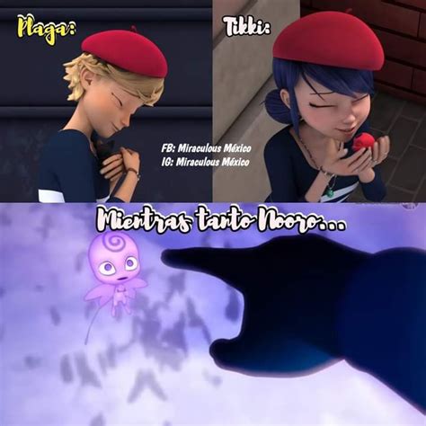 Pin De Queen Bee Star En Guardado Rápido Chistesitos Chistes