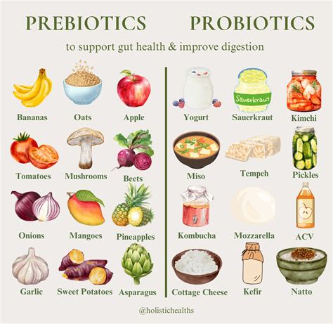 Pin By Pasam Bhargavi On Pins By You Prebiotics And Probiotics
