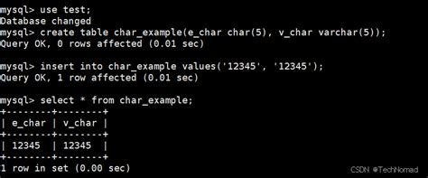 数据表中的数据类型详解数据类型表 Csdn博客