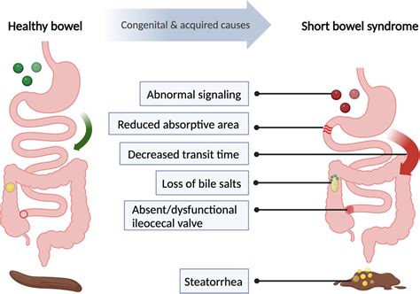 Nutrition In Clinical Practice Wiley Online Library