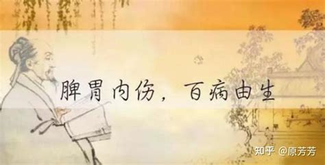 中医:百病之源皆于脾!只要脾胃恢复好了,很多问题都会不攻自破 知乎 中医:百病之源皆于脾!只要脾胃恢复好了,很多问题都会不攻自破 知乎