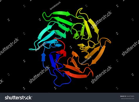 10 Imágenes De Fibronectin 1 Imágenes Fotos Y Vectores De Stock Shutterstock