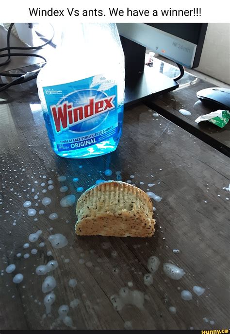 Windex Memes Best Collection Of Funny Windex Pictures On Ifunny